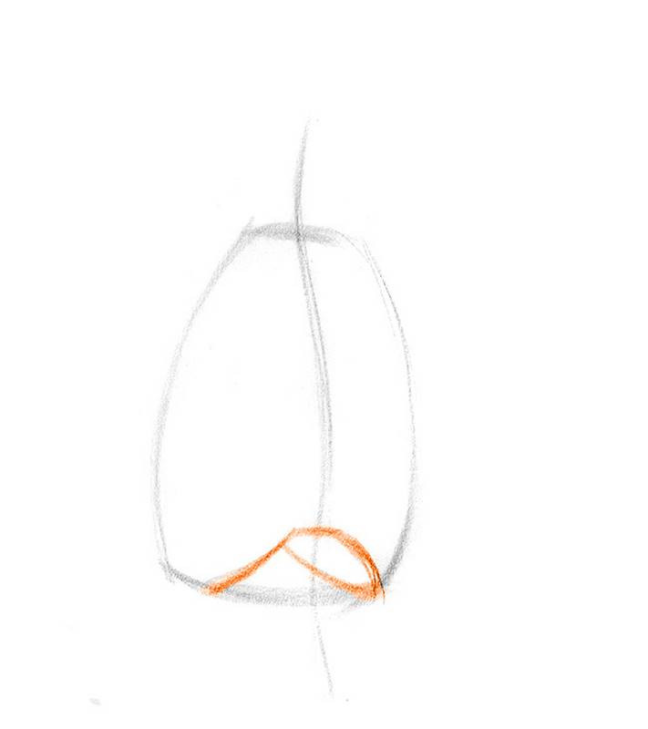 Proko - How to Draw the Shoulder Bones