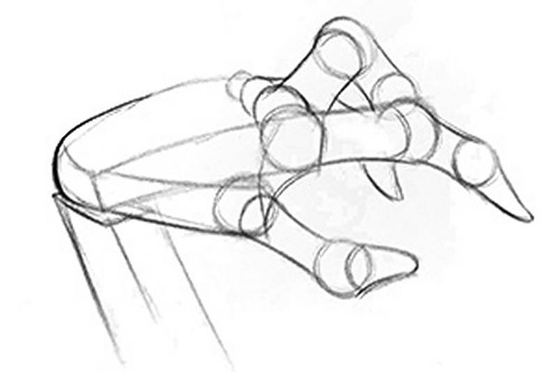 Proko - How to Draw Hand Bones – Anatomy for Artists