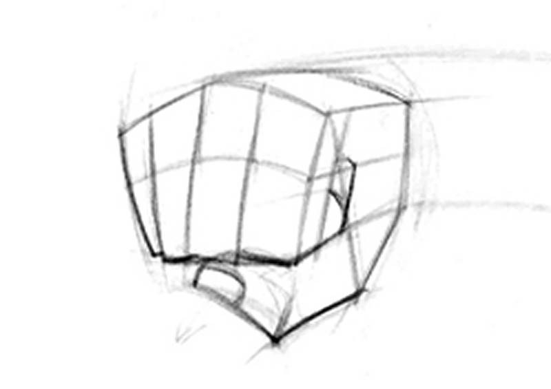 Proko - Drawing a Perfect Fist – HANDS in Action!!!