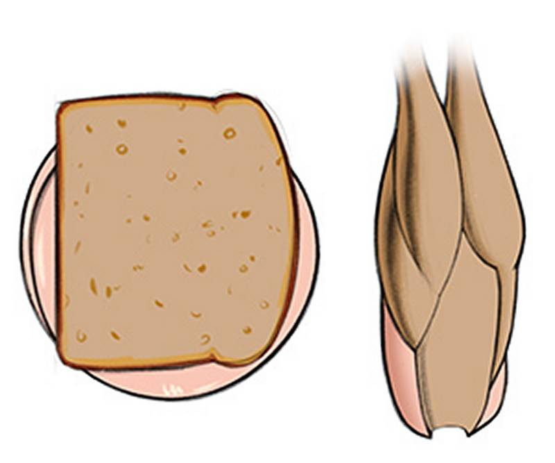 Proko - How to Draw Triceps – Anatomy for Artists