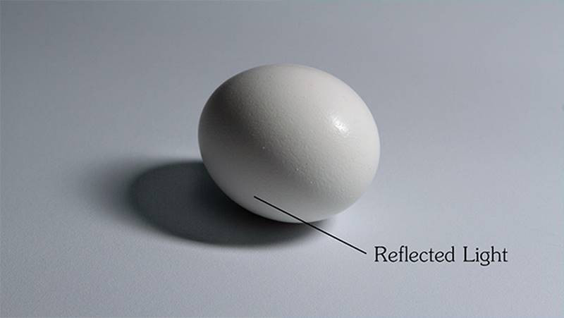 Proko - Shading Light and Form – Basics