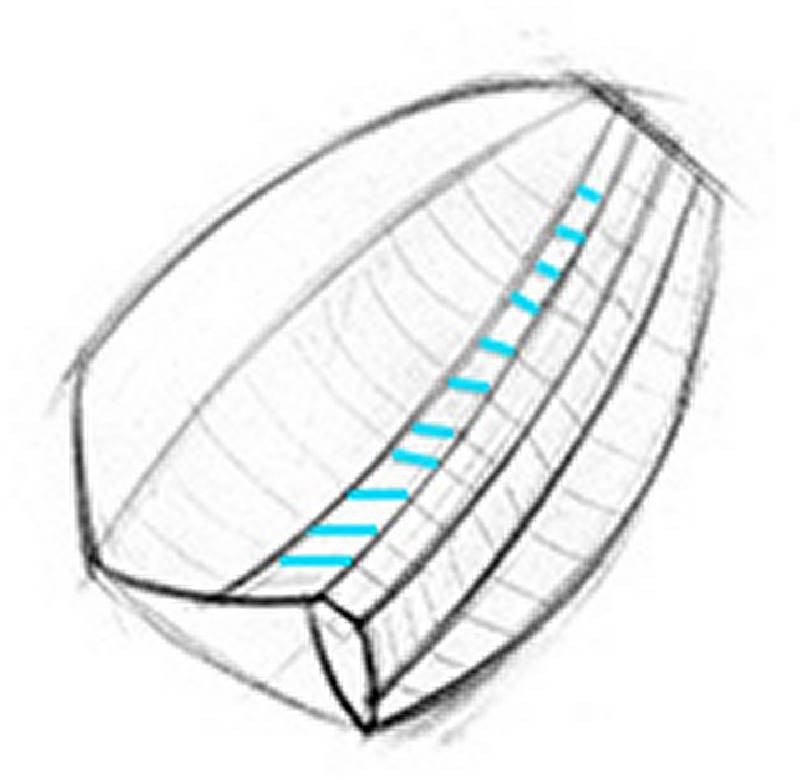 Proko - How to Draw the Rib Cage