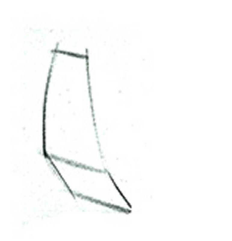 Proko - How to Draw the Rib Cage