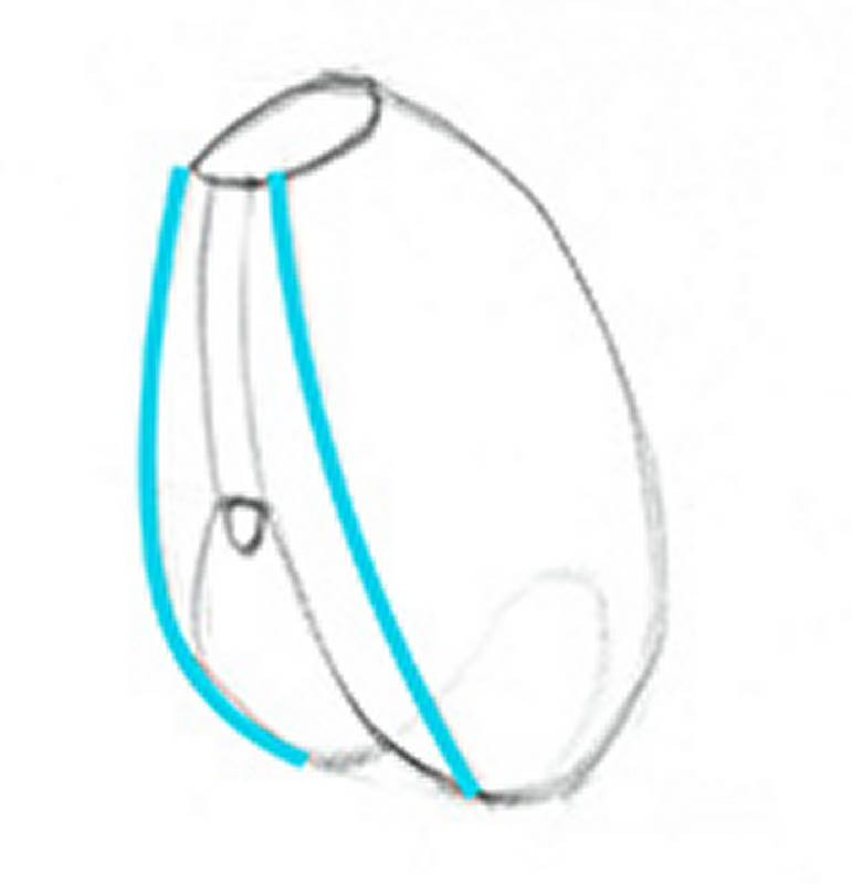 Proko - How to Draw the Rib Cage