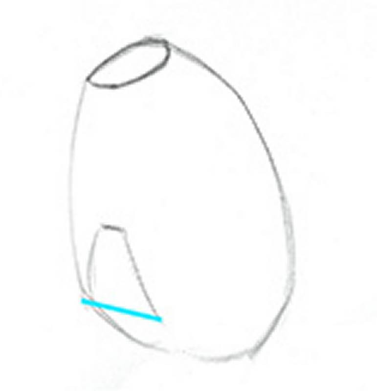 Proko - How to Draw the Rib Cage