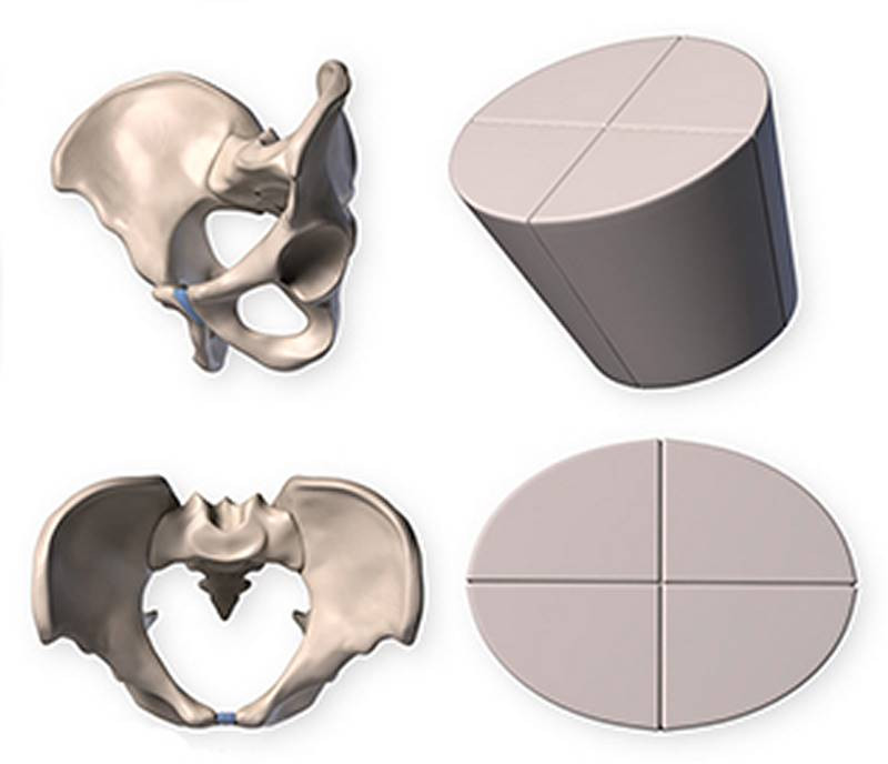 Proko - Anatomy of the Pelvis