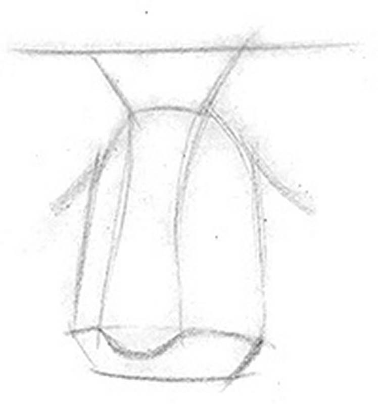 Proko - How to Draw a Nose – Step by Step