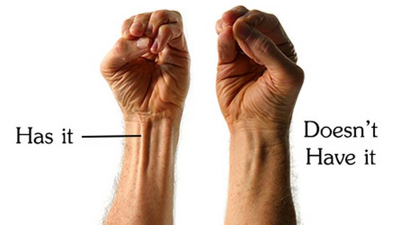 Proko - How To Draw Forearms – Anatomy for Artists