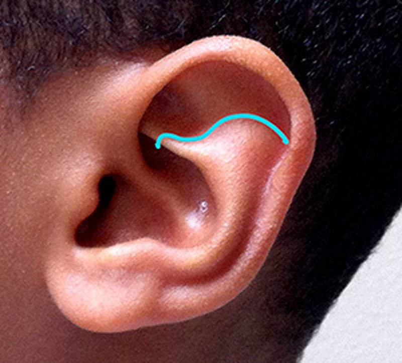 Proko - How to Draw Ears – Anatomy and Structure