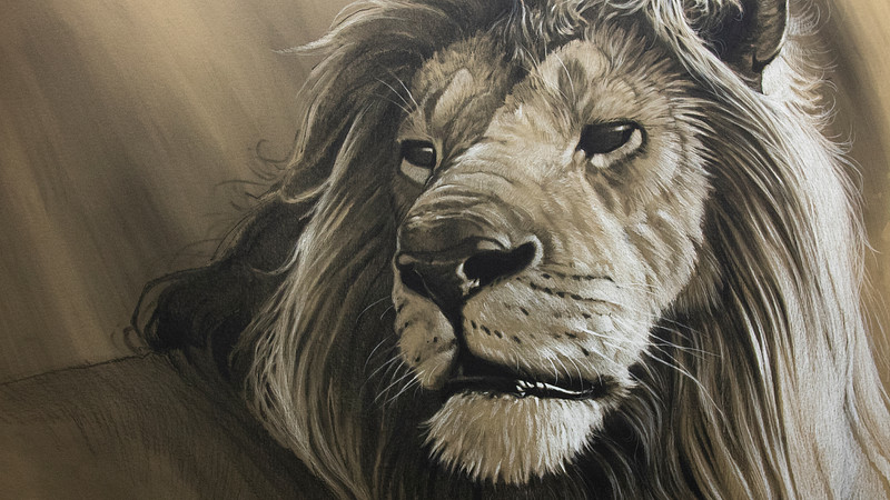 Proko - Drawing an Animal Portrait