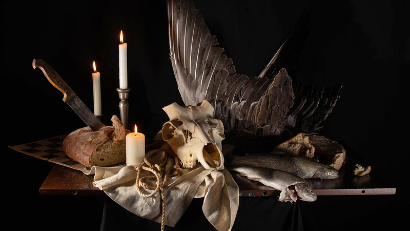 Proko - Still Life - Photo Reference Pack For Artists