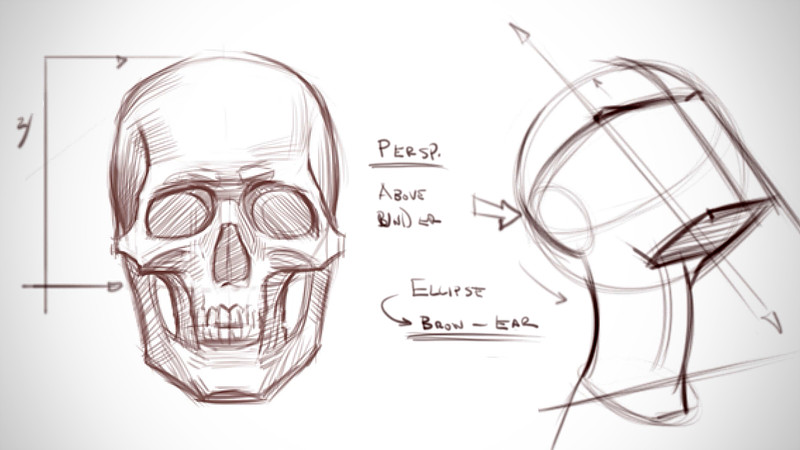 Proko - 4 Steps to Draw the Head from Any Angle