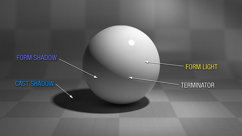 Proko - Modeling Factors Overview