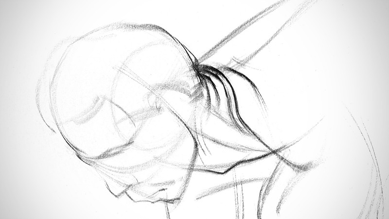 Proko Neck Assignment Example 4