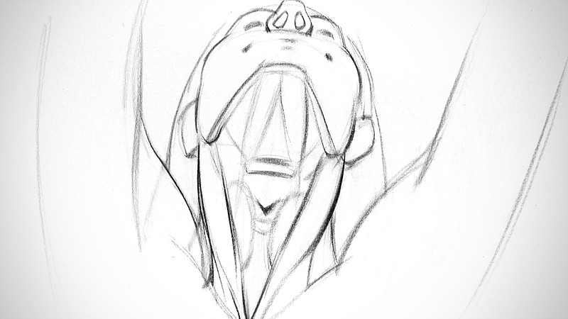 Proko - Neck Assignment Example 6