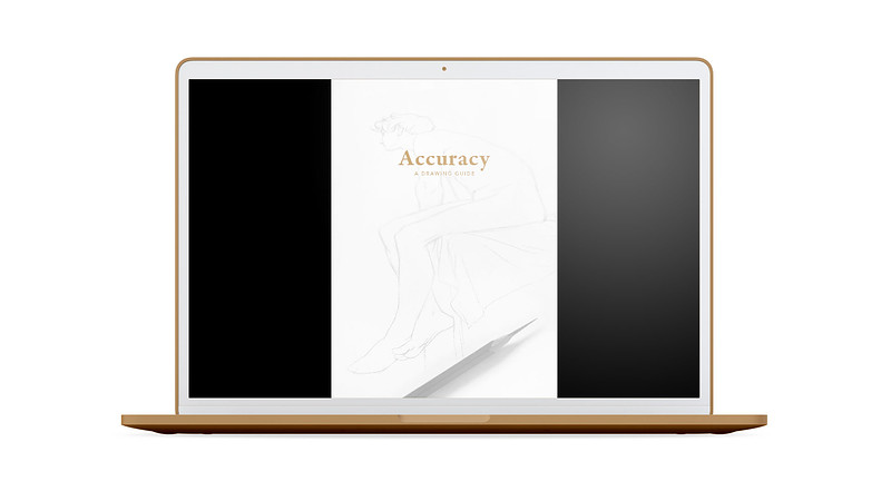 Proko - Accuracy - A Drawing Guide