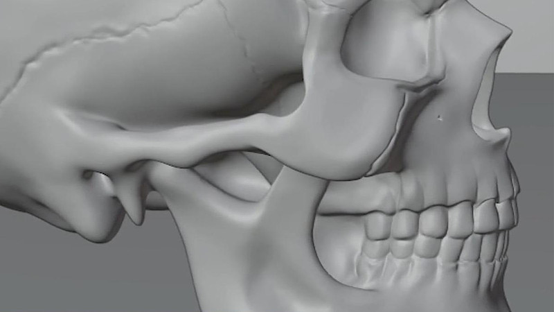 Proko - Analysis Sketching from Reference