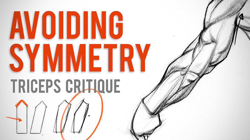 Proko - Anatomy Critiques – The Triceps