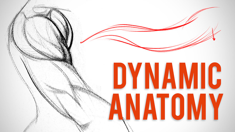 Proko - Anatomy Critiques – The Deltoids