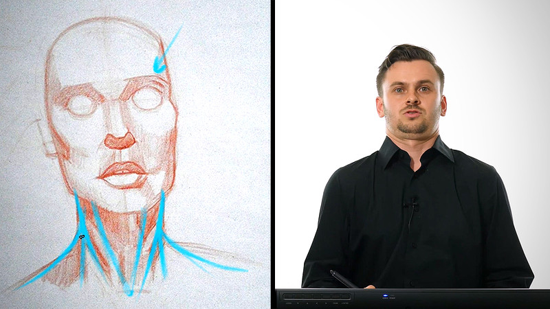 Proko - Anatomy Critiques – The Neck Muscles