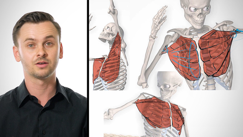 Proko - Anatomy Critiques – The Pecs