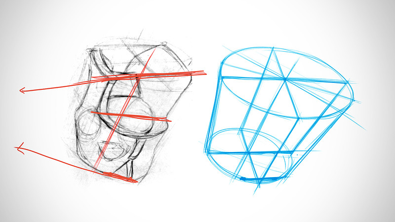 Proko - Anatomy Critiques – The Pelvis