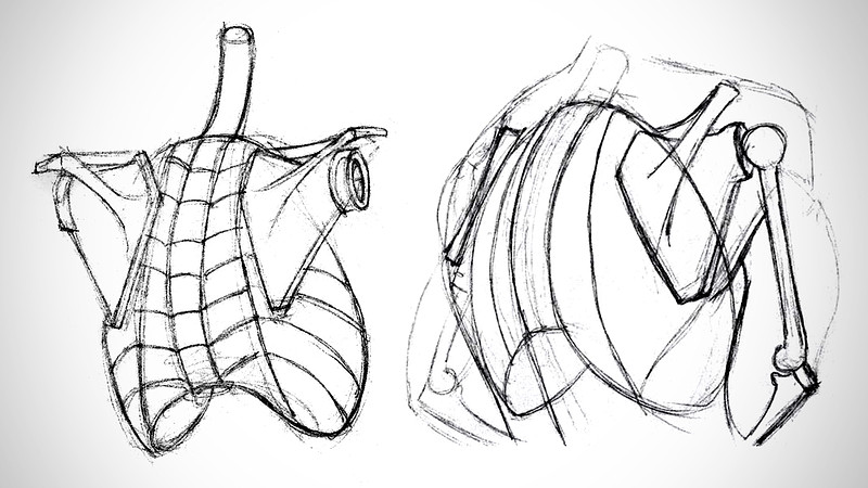 Proko - Anatomy Critiques – The Shoulder Bones