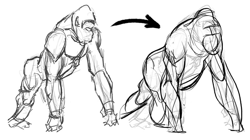 Proko - Ape Muscles Critique
