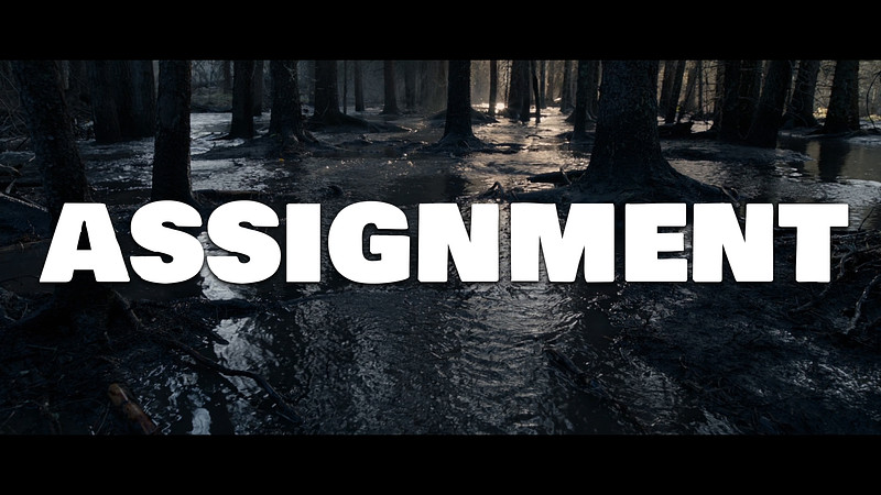 Proko - Assignment