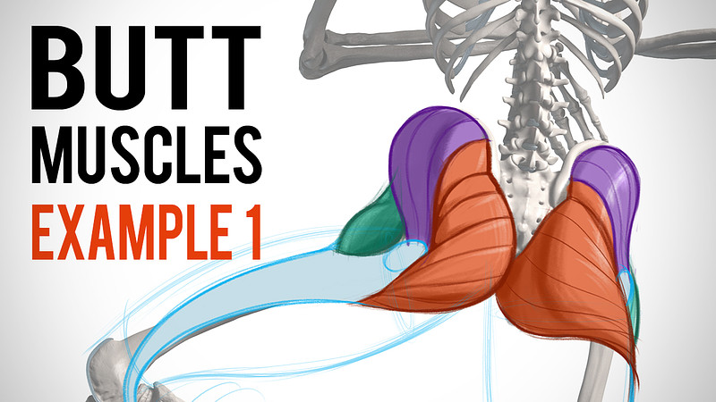 Proko - Butt Muscle Assignment Example 1