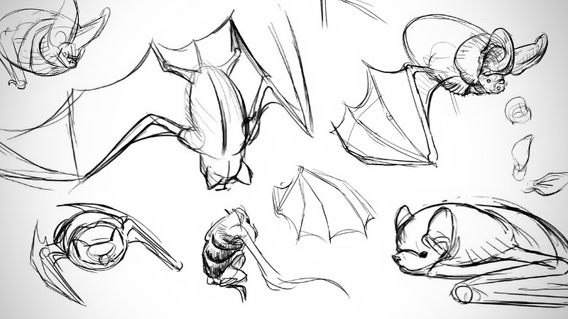 Proko - Bat Studies - Figure
