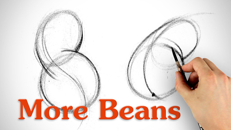 Proko - Bean Examples – Tilt, Lean, Twist and Foreshortening
