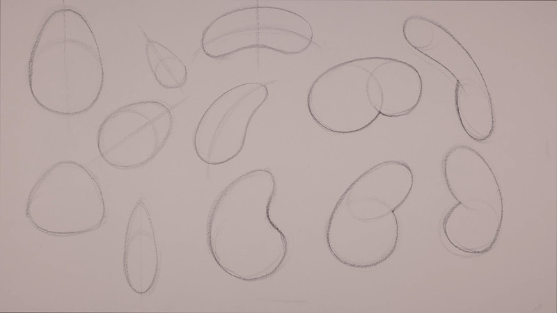 Proko Beyond Basic Shapes