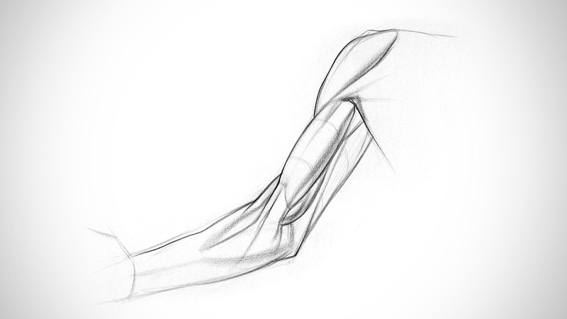 Proko - Biceps Assignment Example 1