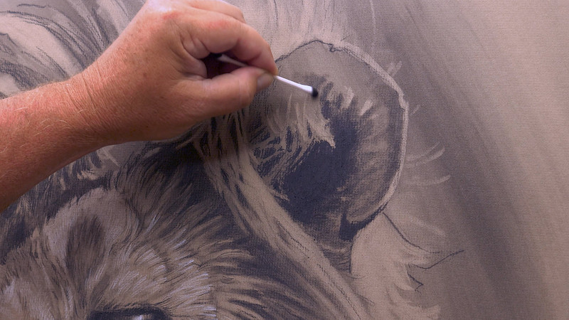 Proko - Softening and the Ear - Real Time