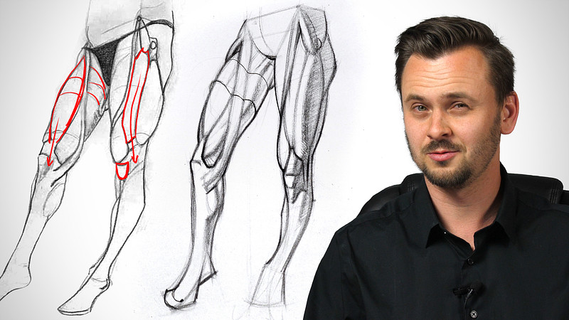 Proko - Anatomy Critiques – Quadriceps