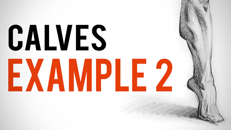 Proko - Calf Assignment Example 2