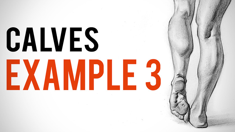 Proko - Calf Assignment Example 3