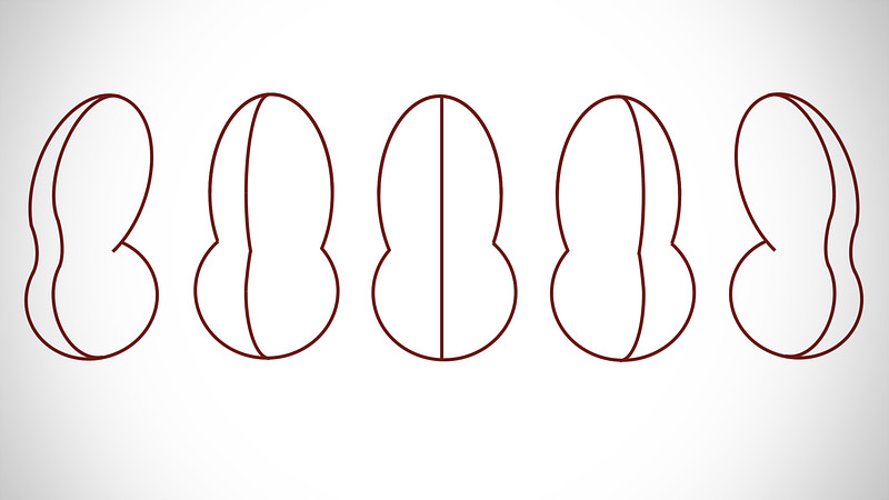 Proko - Center Lines