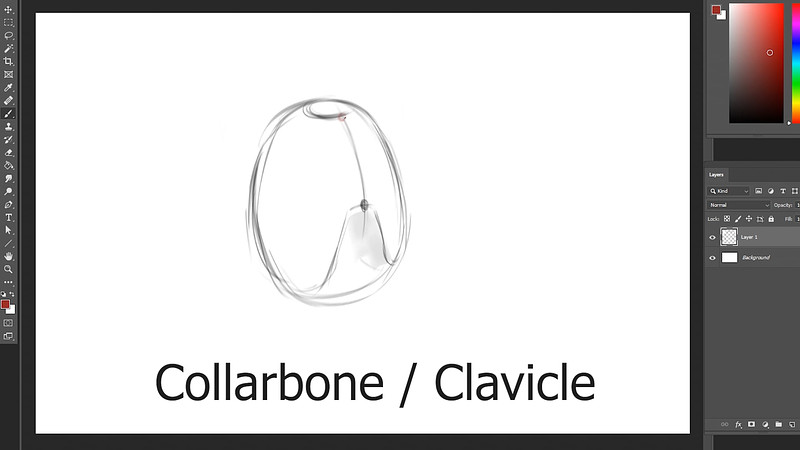Proko - Collarbone and Trapezius