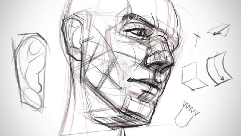 Proko - Constructing the Features From a Base Structure