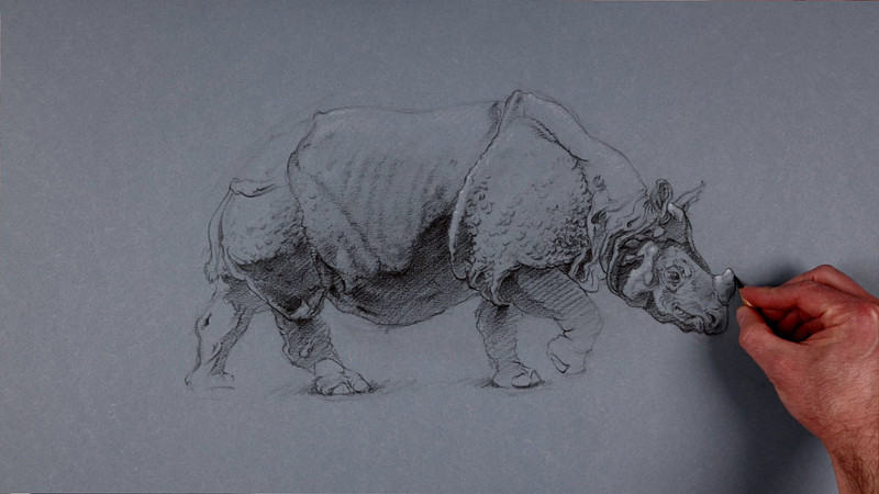 Proko Contours Detail Value