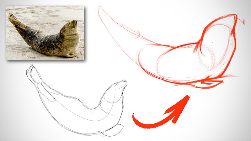 Proko - Critique - Dynamic Shapes