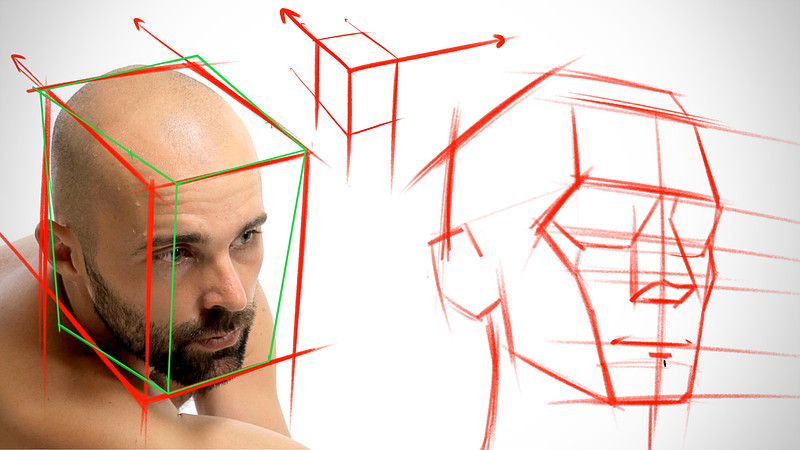 Proko - Critique - Portraits in Perspective