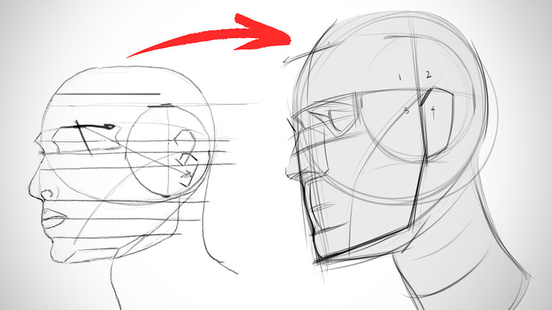 Proko - Critique - Proportions