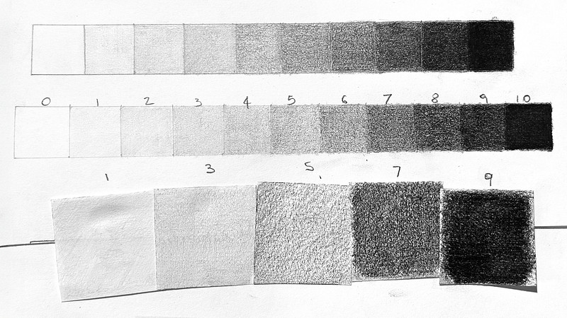 Proko - Critique - Value Scales