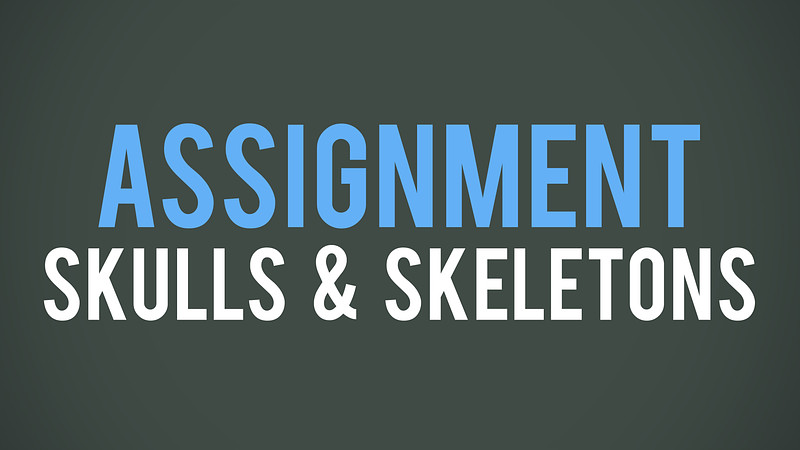 Proko - Ape Skulls and Skeletons Assignment