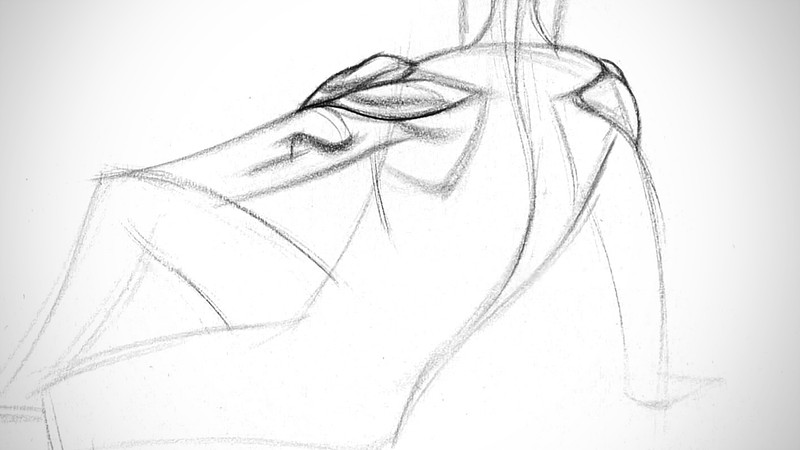 Proko - Deltoids Assignment Example 2