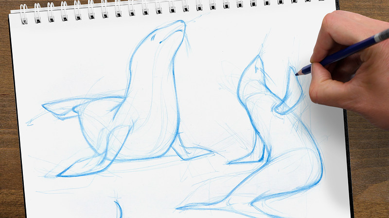 Proko - Demo - Dynamic Shapes from Memory