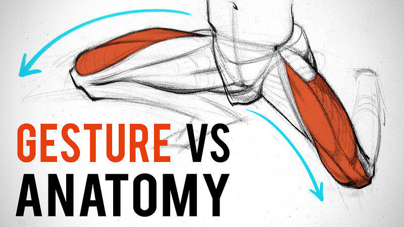 Proko - Design vs Anatomy – Which One is More Important?